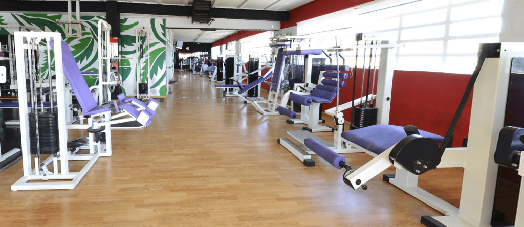 Vine a provar 1 dia gratis a AlphaGym - Alpha Gym